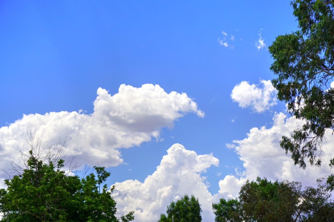 Dungog - Home